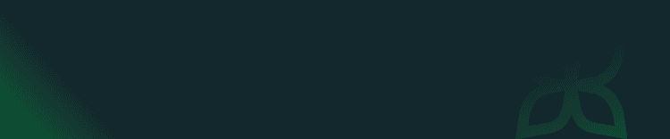 Our Work | Carbonxco