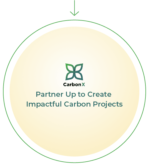 Our Work | Carbonxco